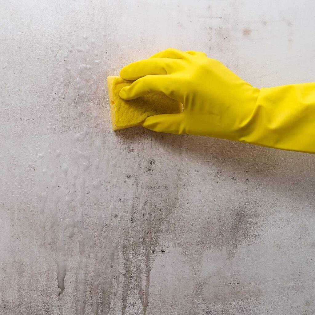 Move Out/In Cleaning Services Singapore - Total Cleanz