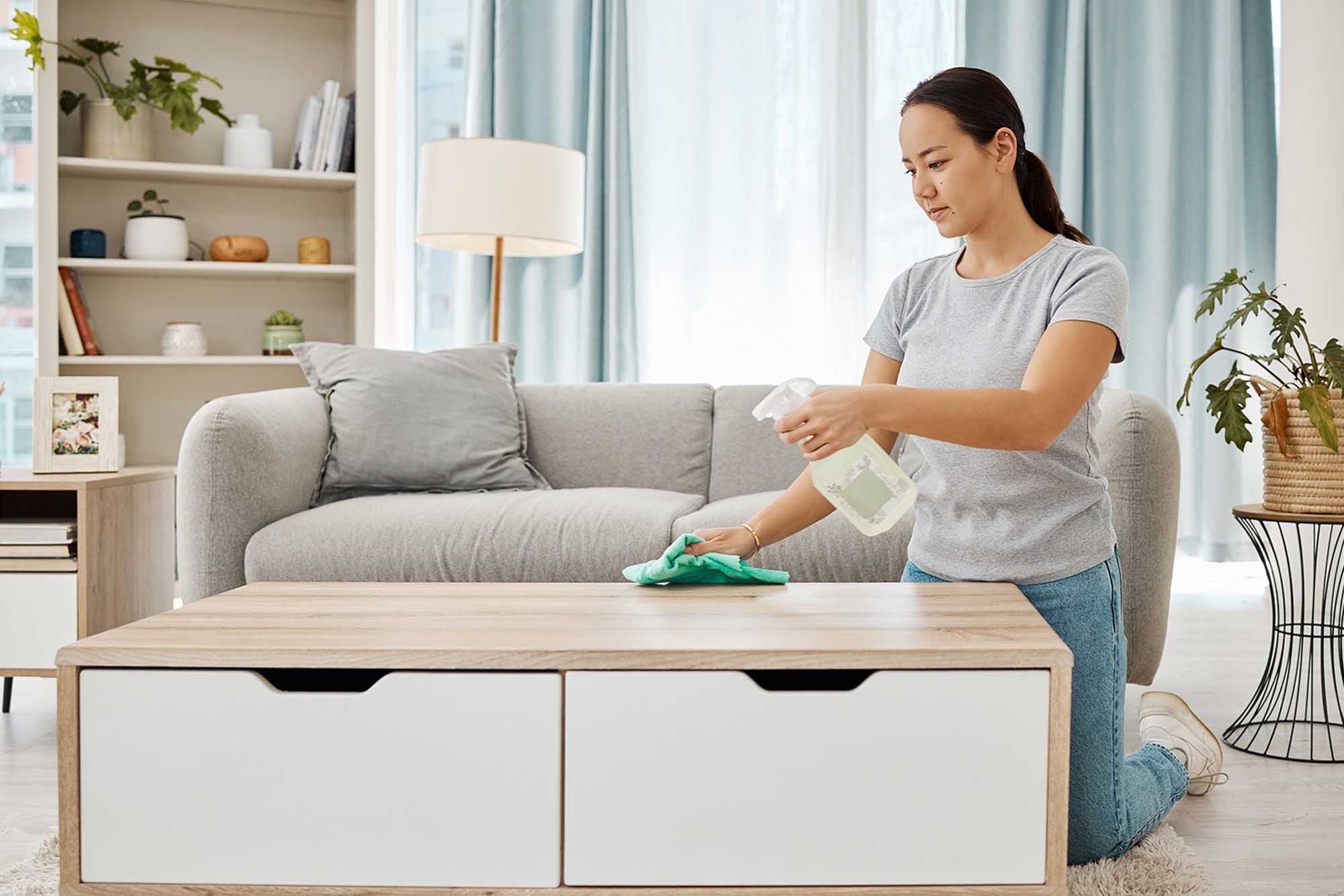 Sustainable Year-End Cleaning Total Cleanz