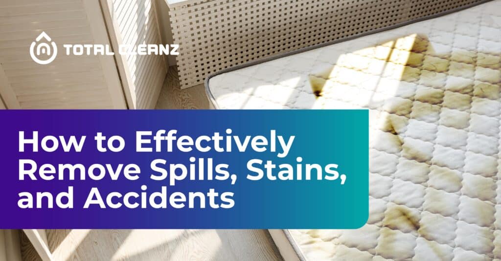 How to Effectively Remove Spills, Stains, and Accidents Total Cleanz
